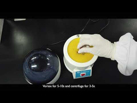 Sistema de Extração de Ácidos Nucleicos Semi-Automatizado Sansure® Nat ...